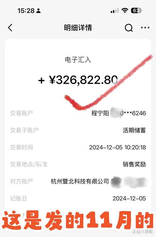 钵钵转任务接单