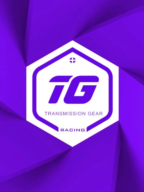 TGC英雄汇图标