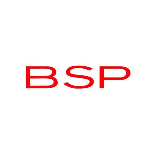 BSP生态所安卓版图标