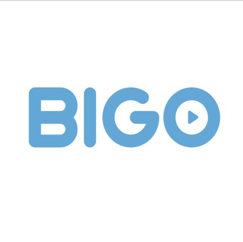 big量官网网址截图