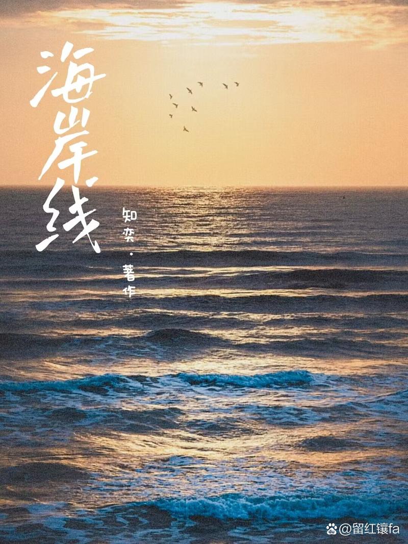 海岸线小说网手机截图