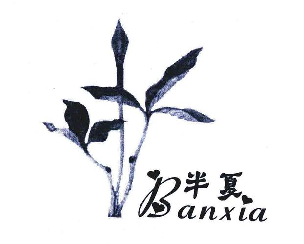半夏阅读网