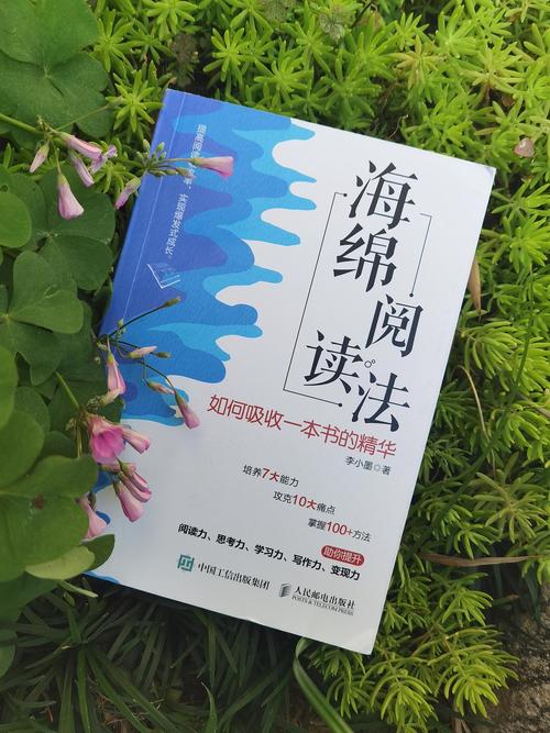 海绵阅读v551图标