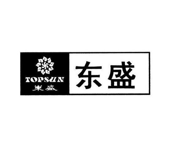 东盛阅读图标