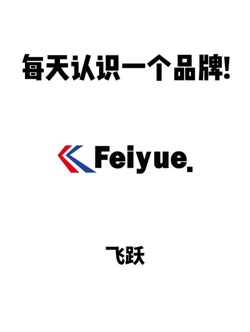 飞跃小说官网截图