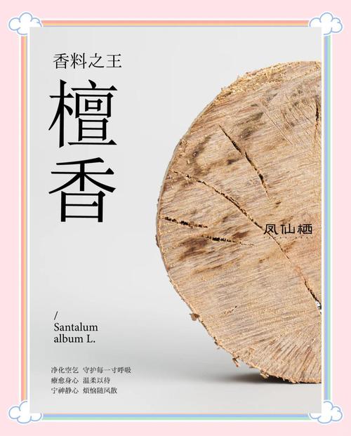 檀香挖矿正版截图