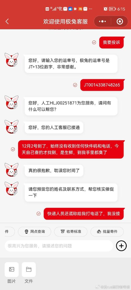 5G极兔v10