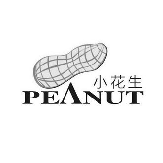 小花生贷款图标