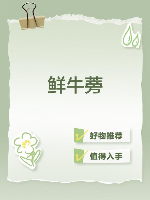 牛蒡任务平台悬赏图标