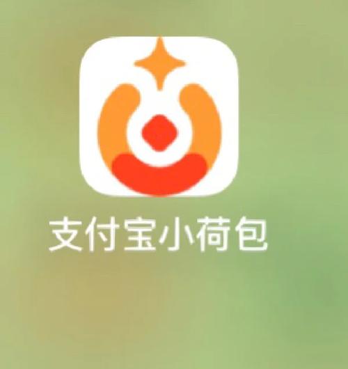 荷小包贷款截图