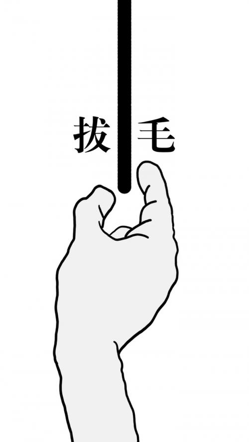 拔条毛安卓版图标
