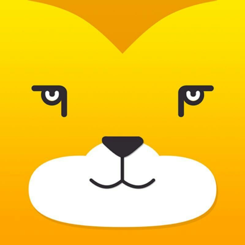 试玩狮app安卓版截图