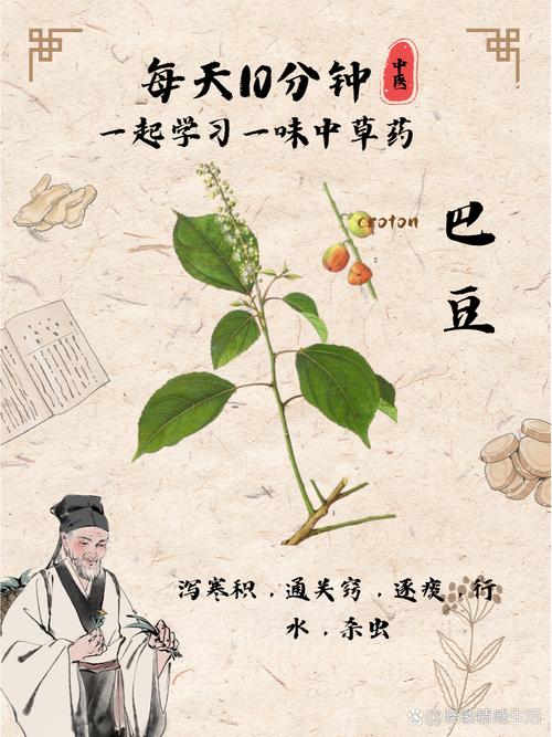 巴豆阅读手机版图标