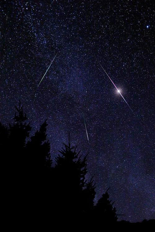 流星贷手机版截图