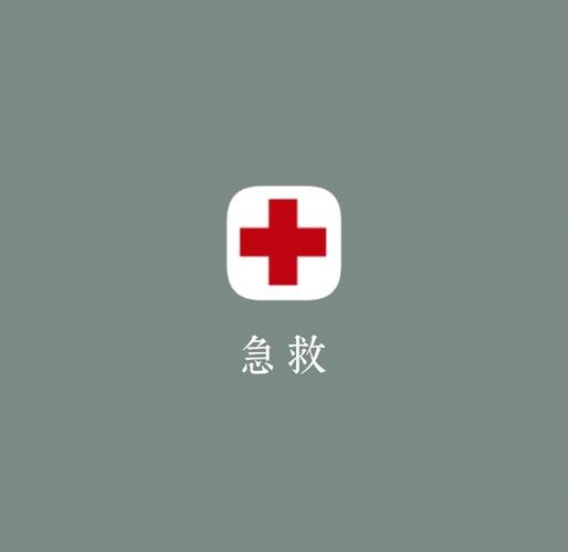 急救带赚钱截图