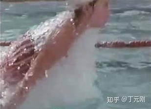 飞鱼看点转发文章
