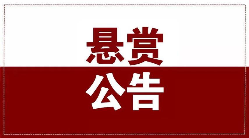 悬赏爆破截图