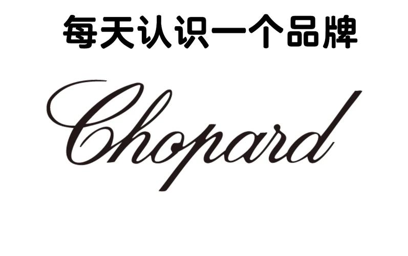肖邦贷截图