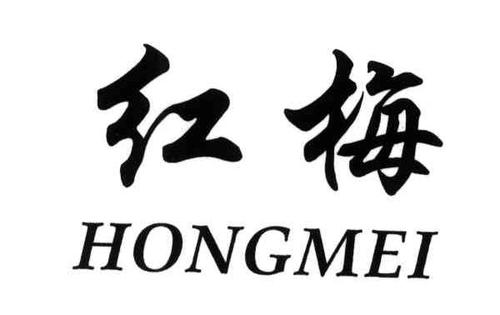 红梅小说阅读器官图标