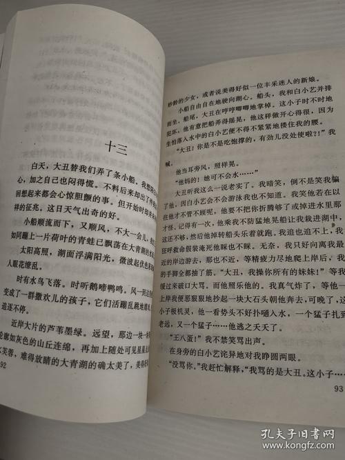 芒克小说全文免费图标