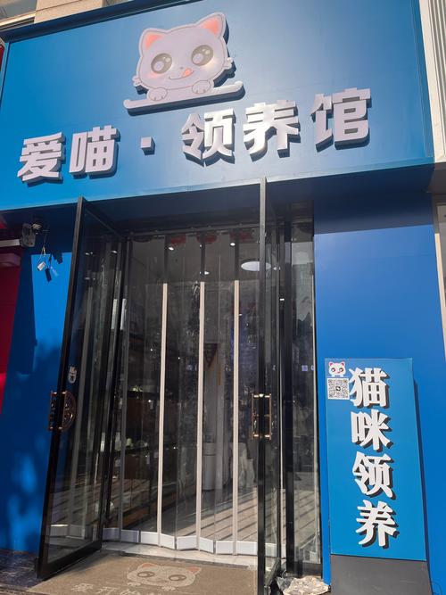 阳光养猫场赚钱截图