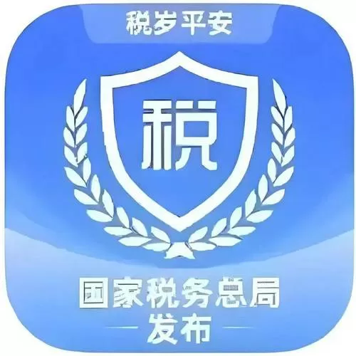 上海市国家电子税务局官方网截图