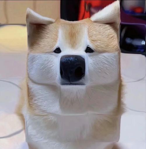 方块狗