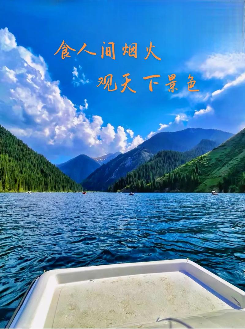 观天下最新手机版
