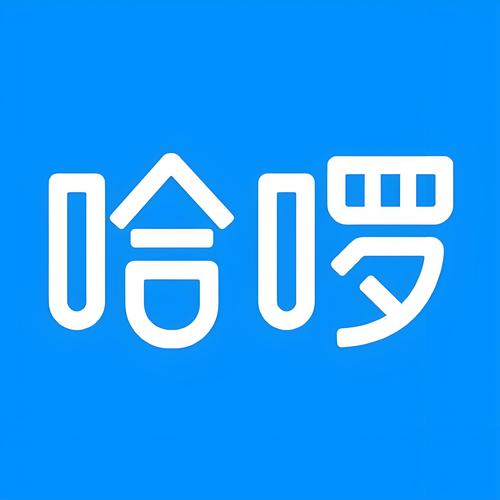 哈喽悟空代驾司机截图