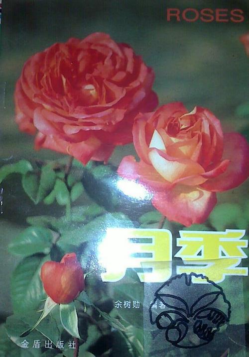 月季小说免费版v图标