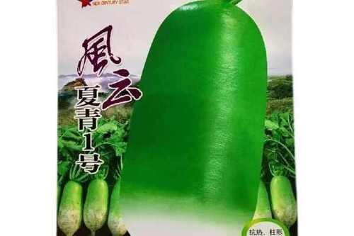 萝卜风云秒手机版