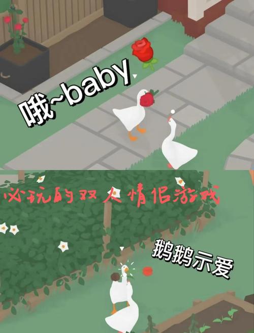天鹅庄园模拟养鹅