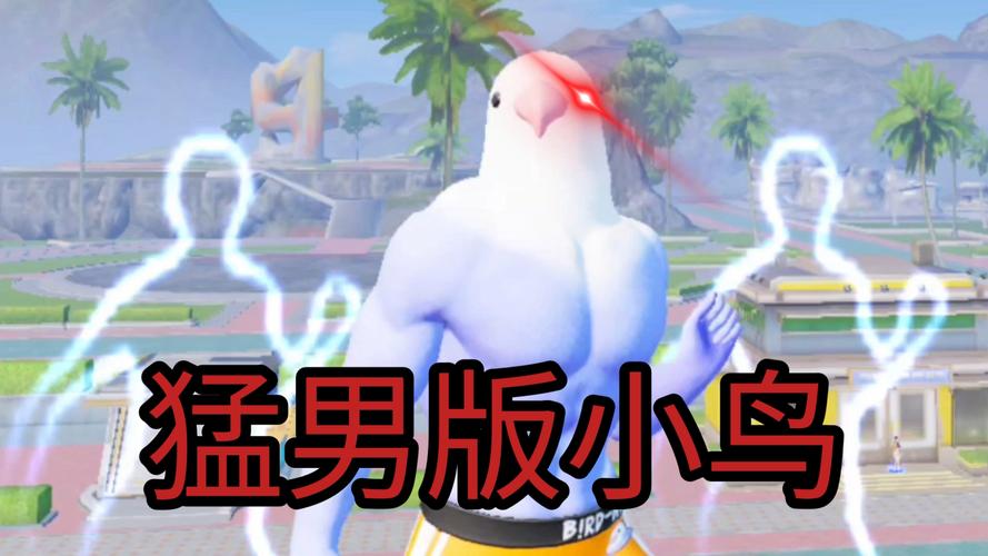 开心鸟