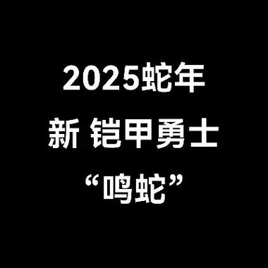 鸣蛇代练