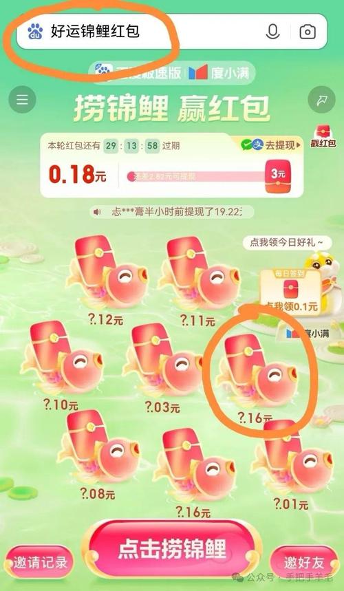 分红锦鲤养宠赚钱