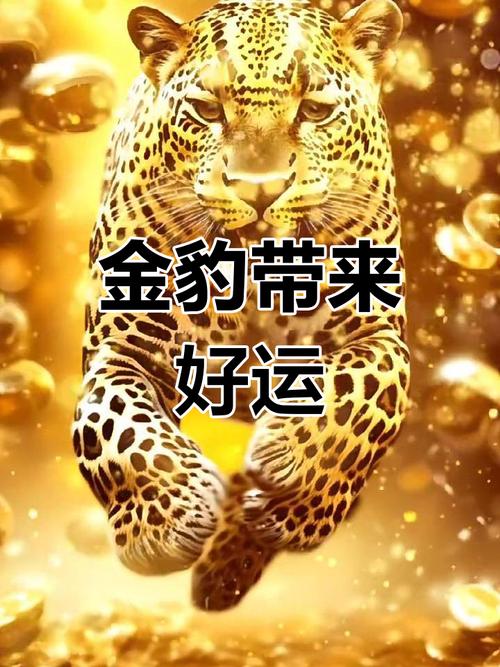 金豹转手机版截图