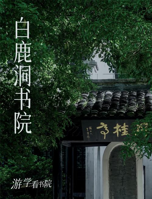 青梅书院手机端图标
