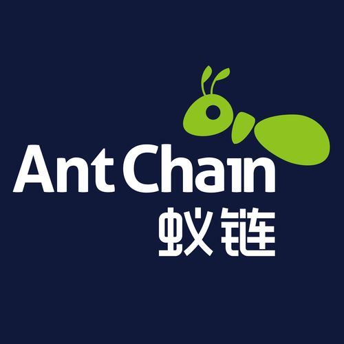 ANT蚂蚁链手机截图