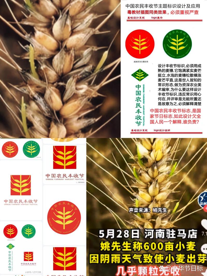 美农链手机版截图
