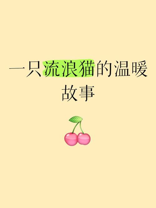 流浪猫的故事截图