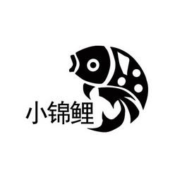 锦小鲤图标