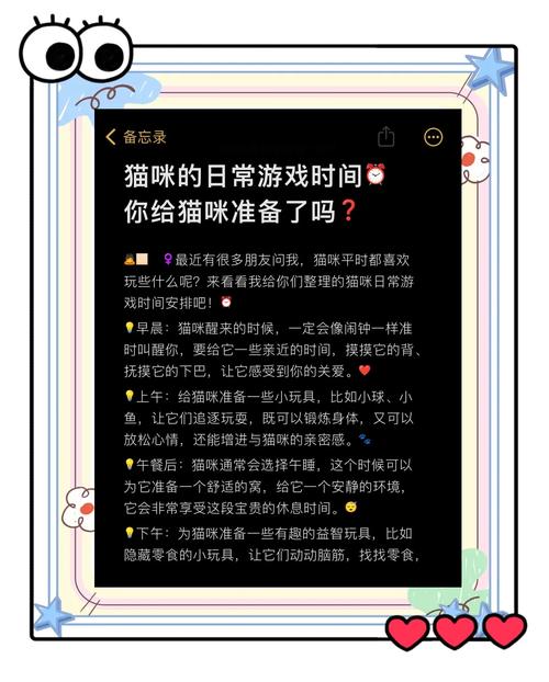 猫咪时间分猫爪版