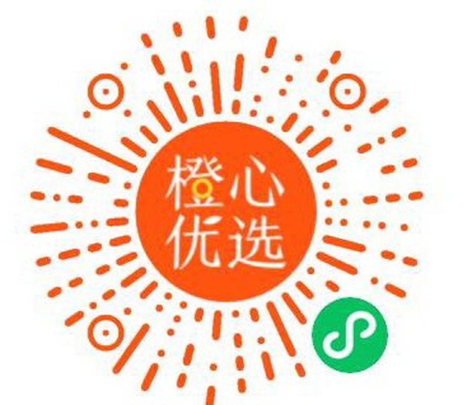 橙心借图标