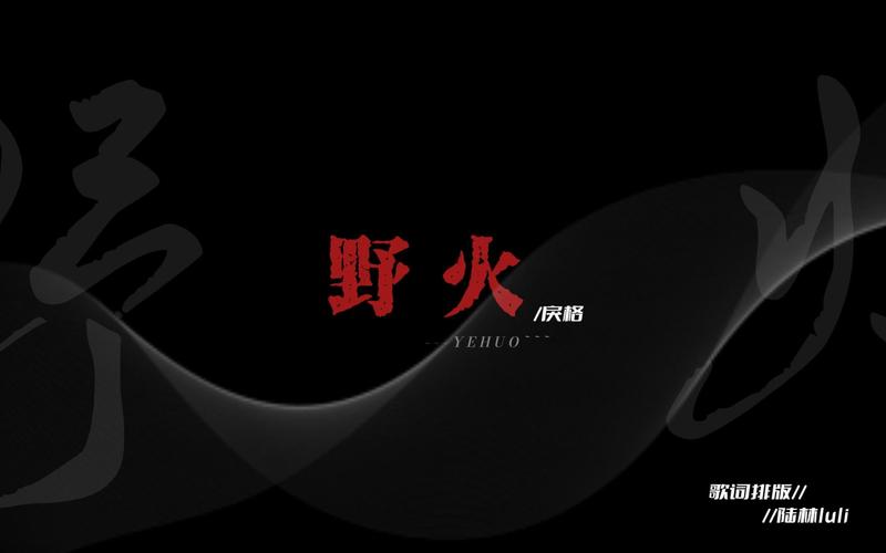 野火小说v10图标
