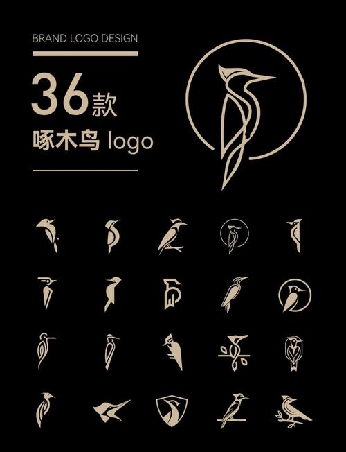 小啄zuanqi图标
