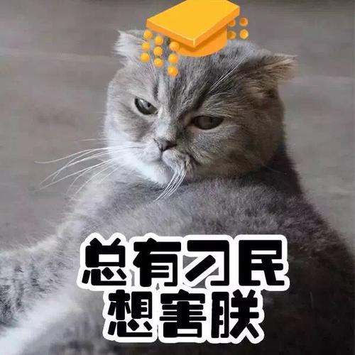 总有刁民想害朕新截图
