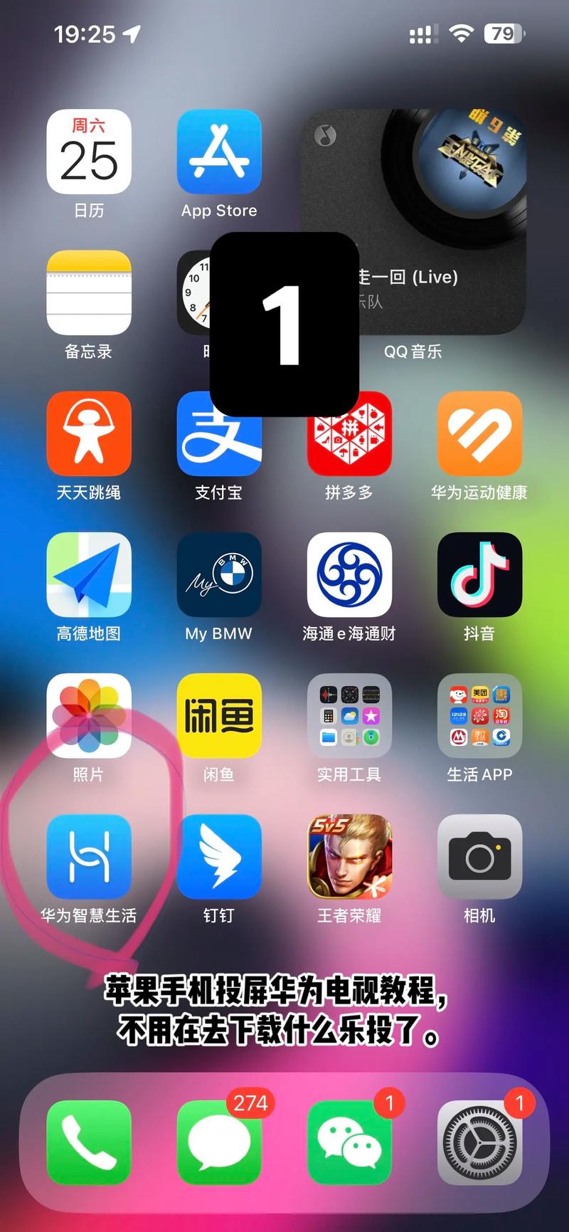 乐投投手机正式版