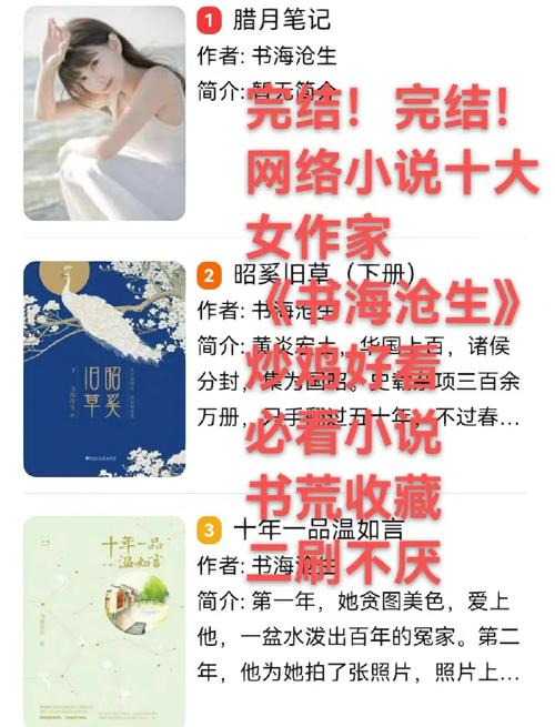 海沧小说苹果版