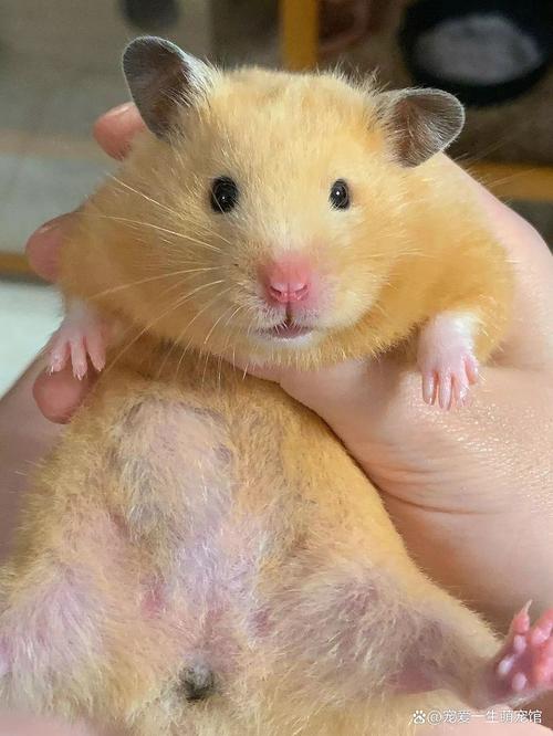 米熊