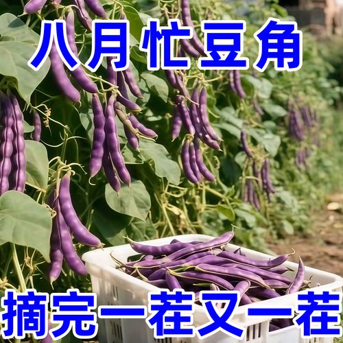 花菜资讯安卓版